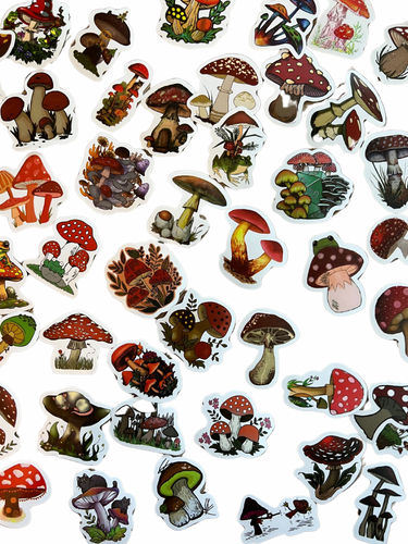 Fungi Stickers (x5) | Ponnie Matin Studios