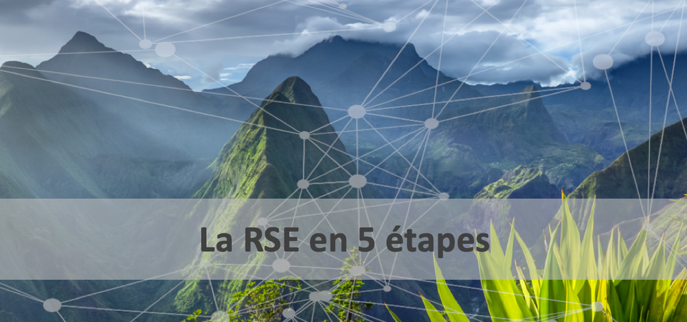 Les 5 étapes d'une démarche RSE performante