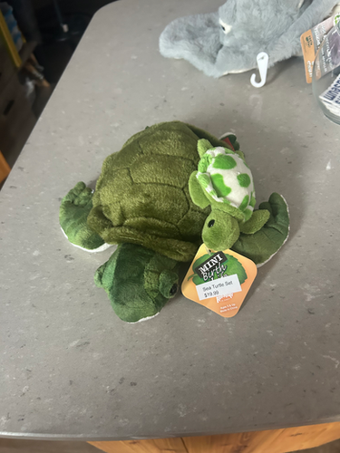 Sea turtle set | Bayou Country Childr
