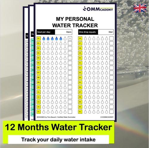 Water Tracker Printable - 12 months | SOMMCADEMY