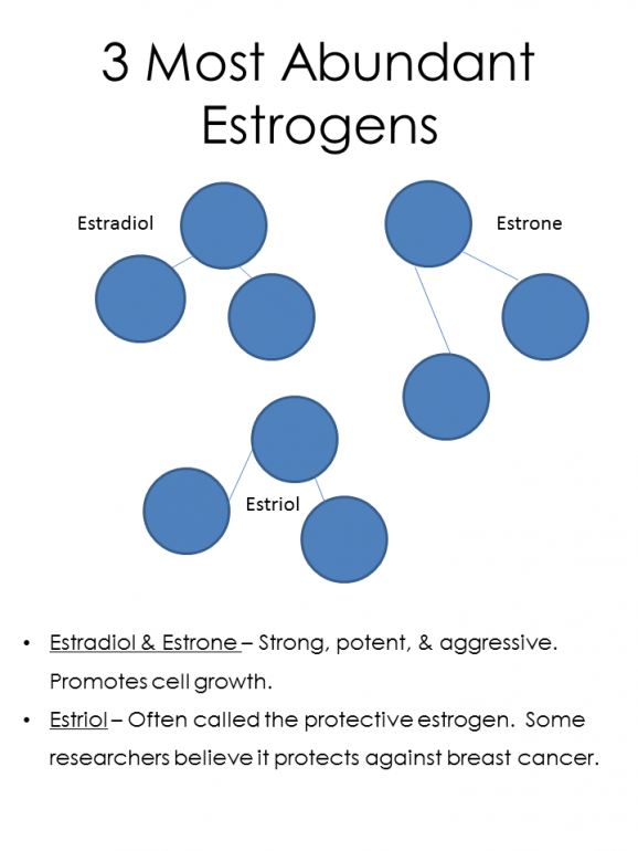 The Importance of Estrogen