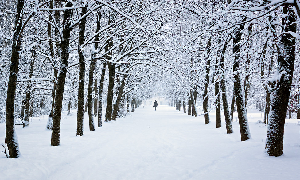 Contest | Clean Fiction Magazine