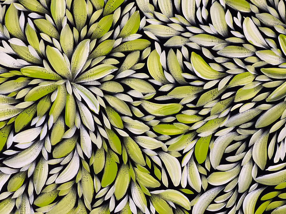 Bush Medicine Leaves - Louise Numina | AALondon Gallery