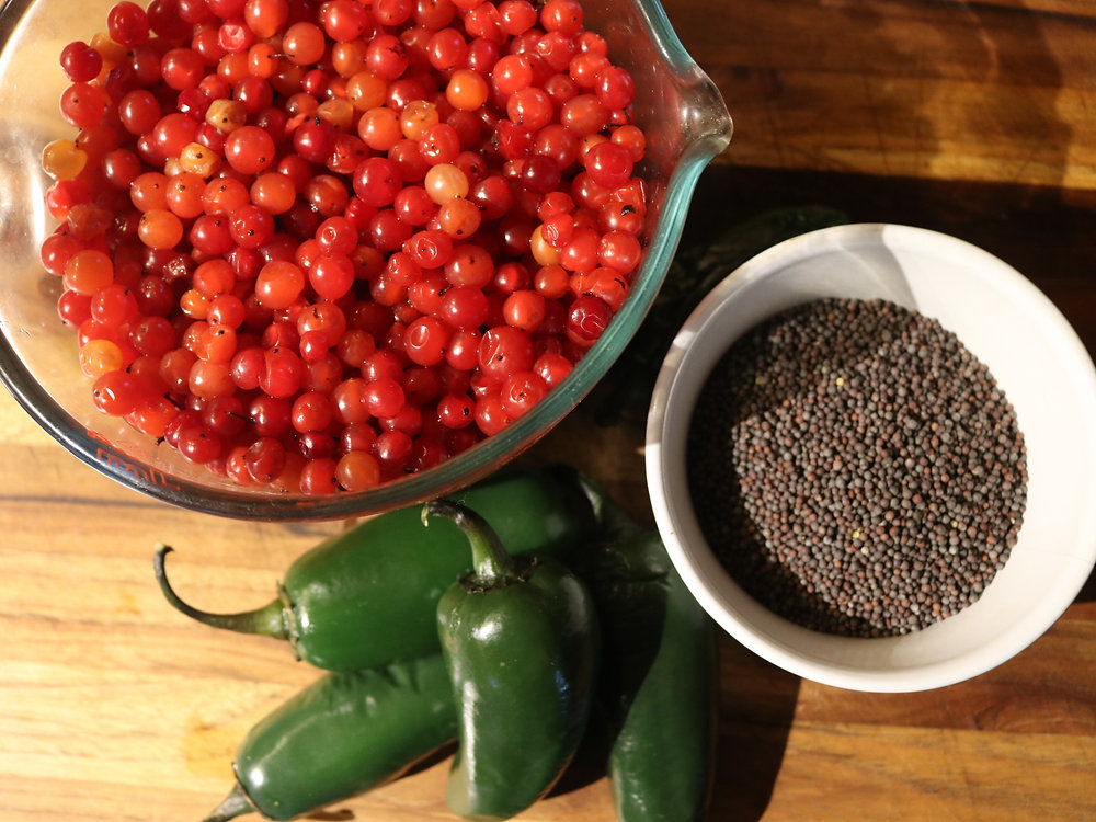 Spicy Highbush Cranberry Mustard