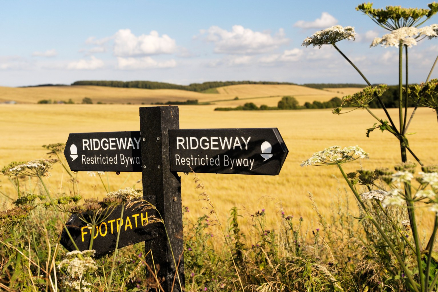 Walking the Ancient Ridgeway, A Journey Through History