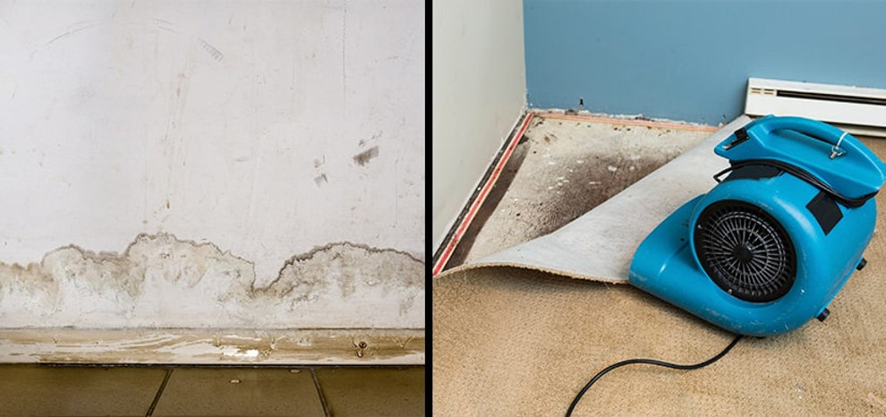 The Best Ways How To Identify And Reduce Sources of Water Damage