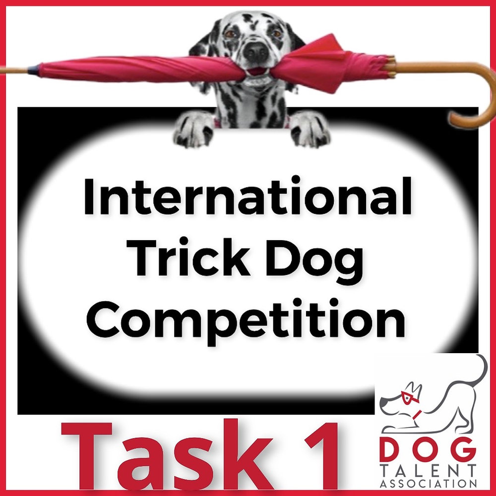 International Trick Dog Competition 2022
