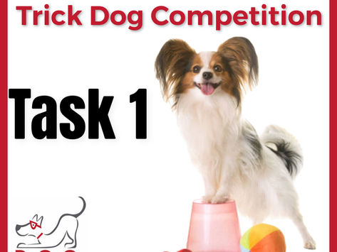 Trick Dog Titles awards | Dog Talent Association