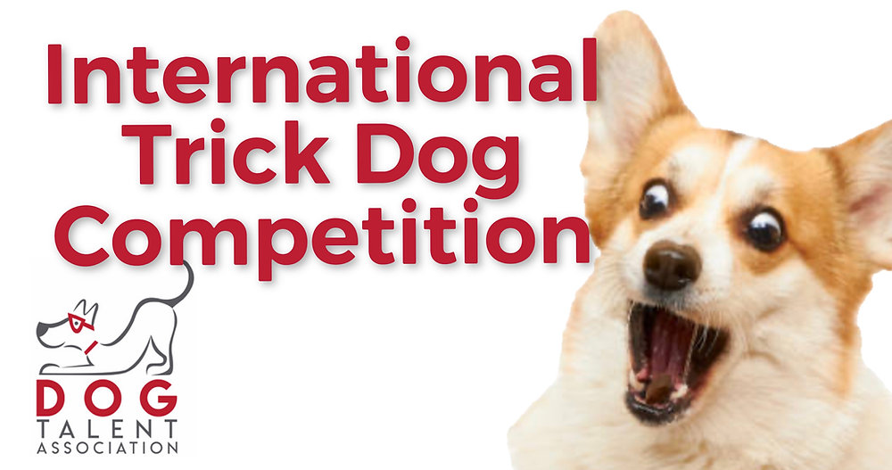 Can your dog become the International Trick Dog Champion 2023? Join the ...