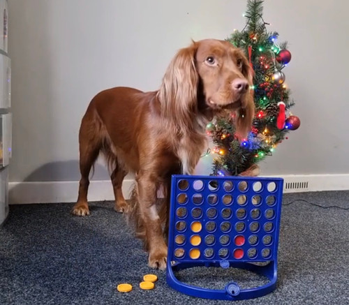 Best Precision Tricks Masterclass- Connect 4, piggy bank etc ...