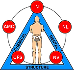Triangle Wellness, Frequently Asked Questions