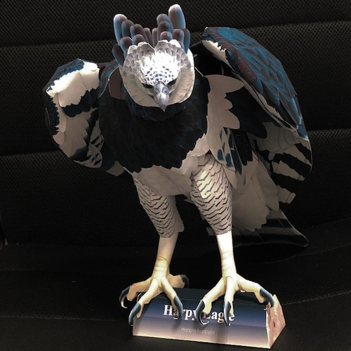 Harpy Eagle body｜オウギワシ胴体 | Kami Tori Ya