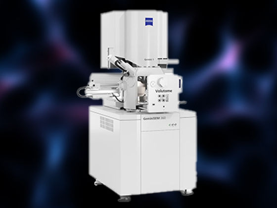 New Zeiss Serial Section SEM