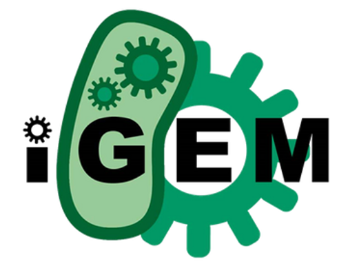 What is iGem? A Beginner's Guide to the Competition