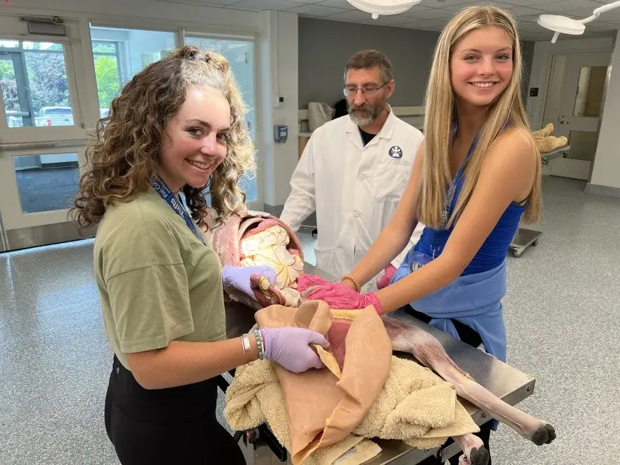 Tufts Mini Med School: Is it a Worthwhile Experience?