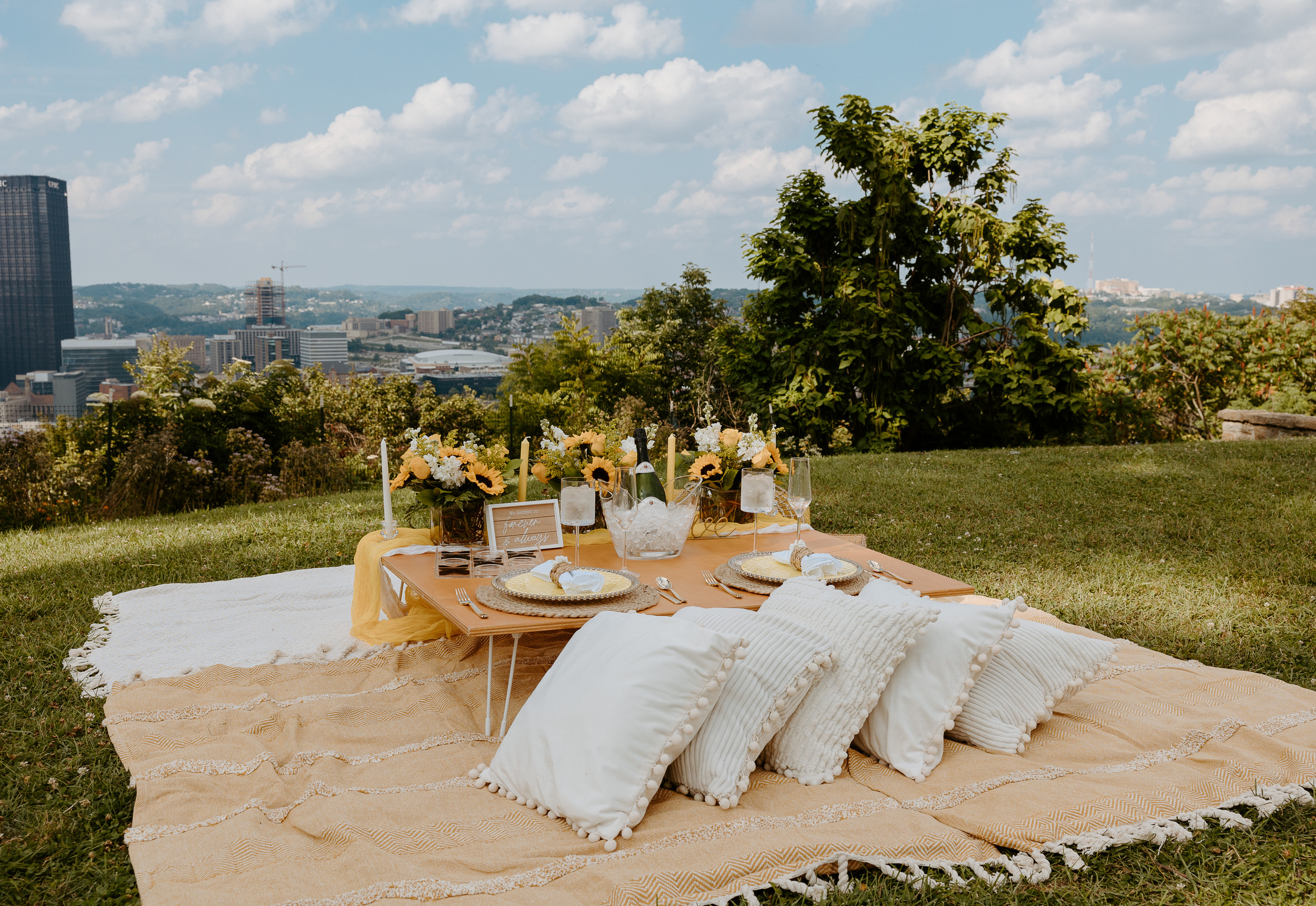 BUILD YOUR PICNIC | Brie & Baskets