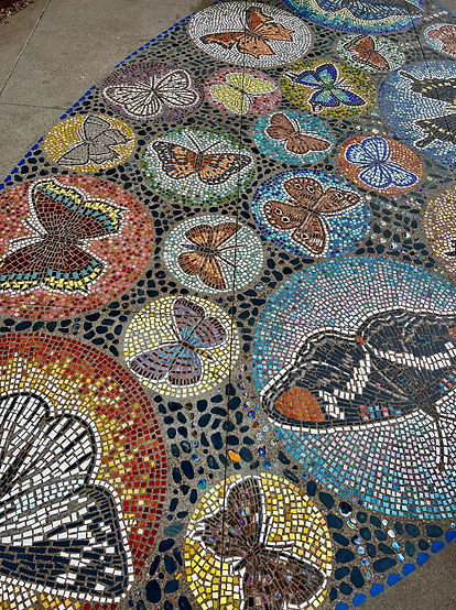 Phoenix Butterflies | Robin Brailsford public art