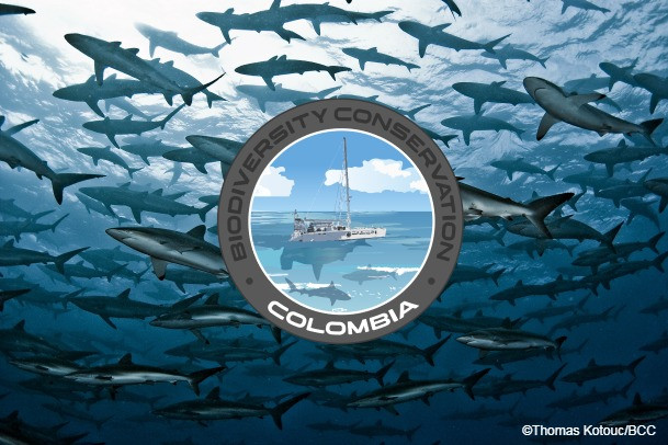 Fundación Biodiversity Conservation | Colombia