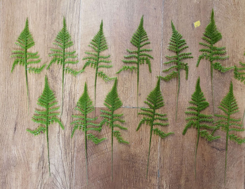 Pack of 12 small flocked fern stems | THE ARTIFICIAL FLOWE