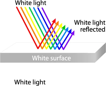Shining the Light on the Color Palette
