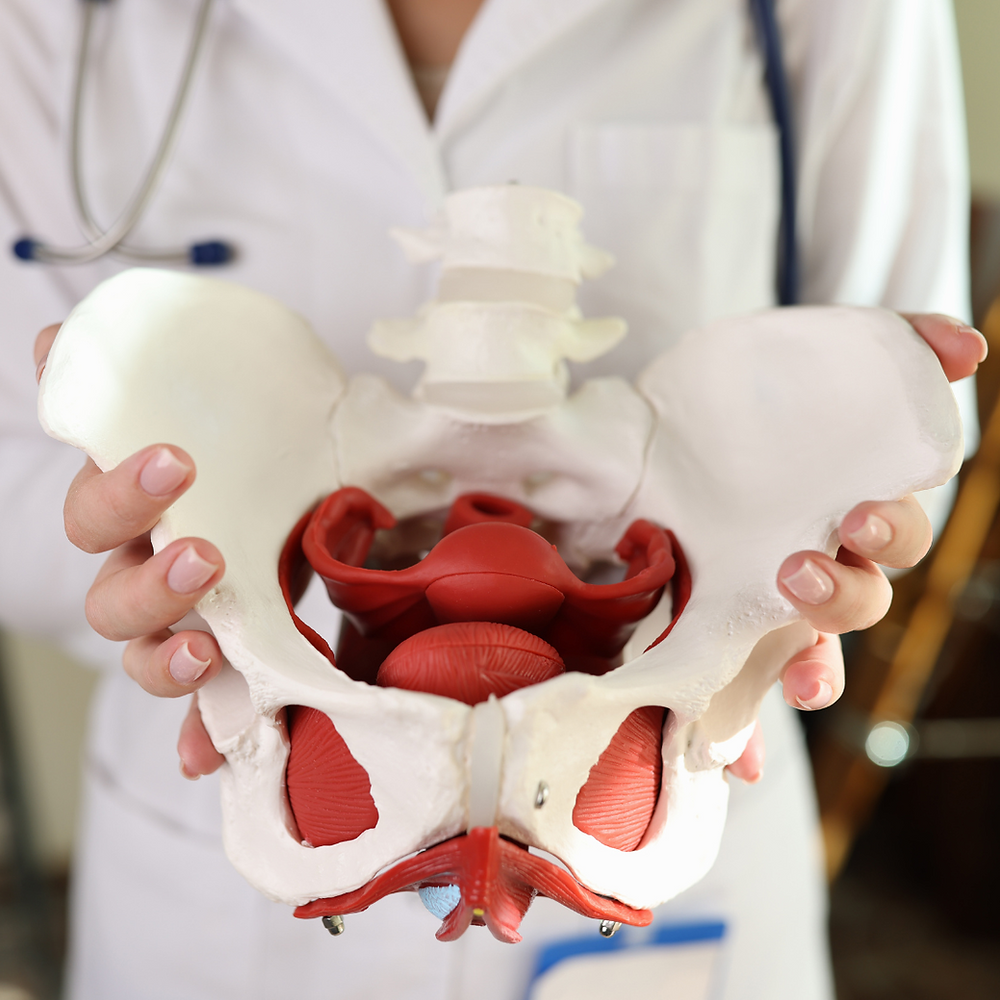 Common Pelvic Floor Issues and How Physical Therapy Can Help