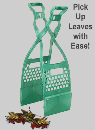 Grappler | TrexGoneWild