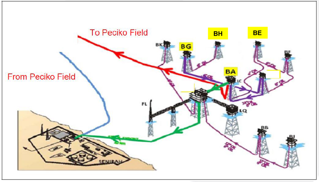 PHM Bekapai Pipeline Integrity Assessment