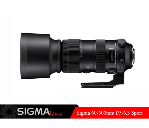 Sigma 60-600mm f/5-6.3 DG OS HSM Sport | Lentes Sigma