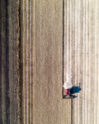 Harvesting Matrix | Ash Hughes Photos