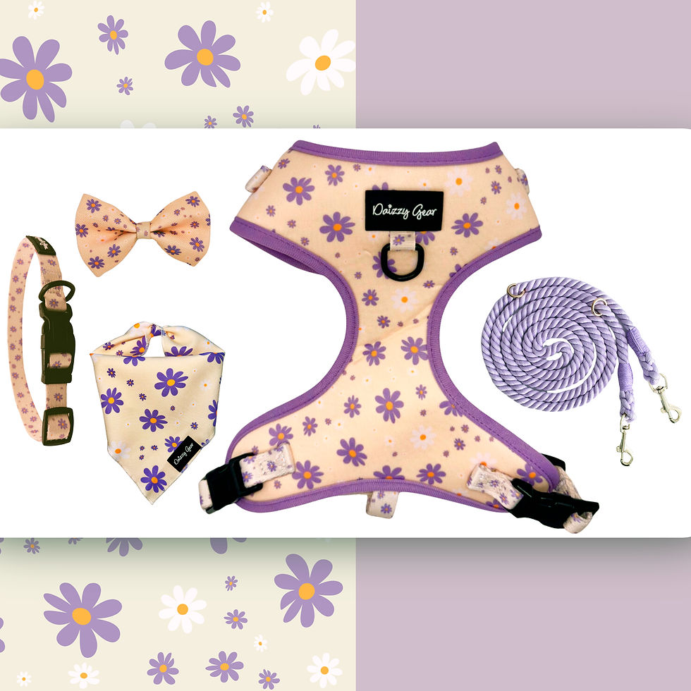 Daizzy Gear Dog Harnesses, Leashes & Accessories | Stylish dog harness sets