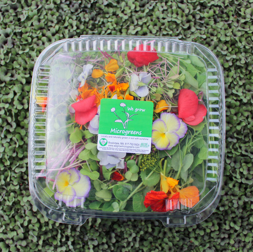 Large Microgreen Mix | We Grow Microgreens