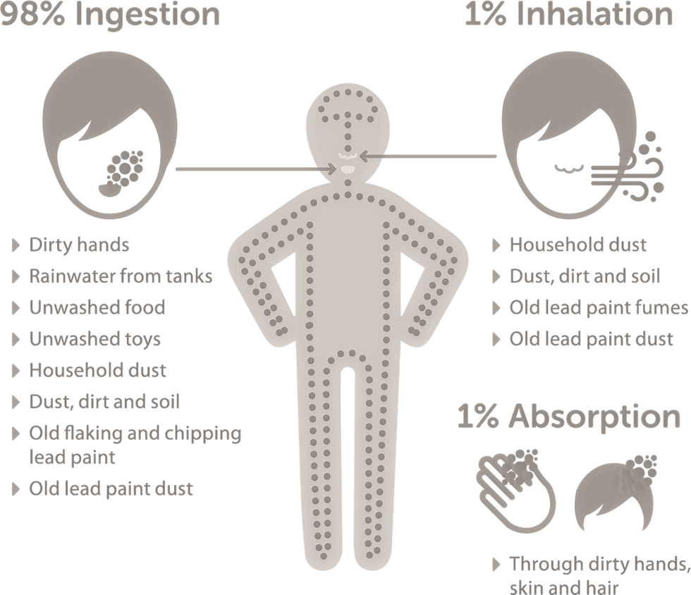 How Lead Enters the Body