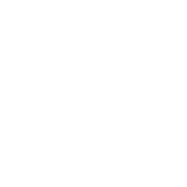 ThunderMax | Tragic City Customs