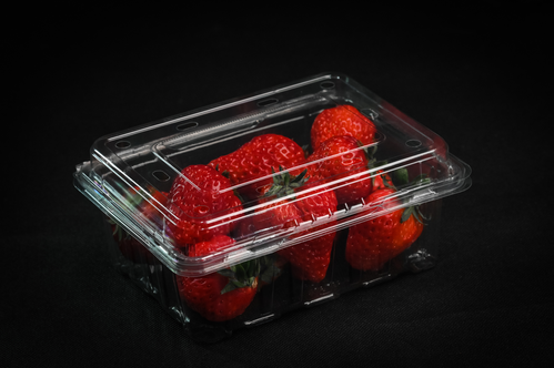 PV-FP500 | YANGTAI Australia