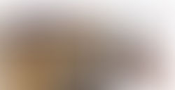 Folio Seattle | Membership Library | Cultural and Civic events