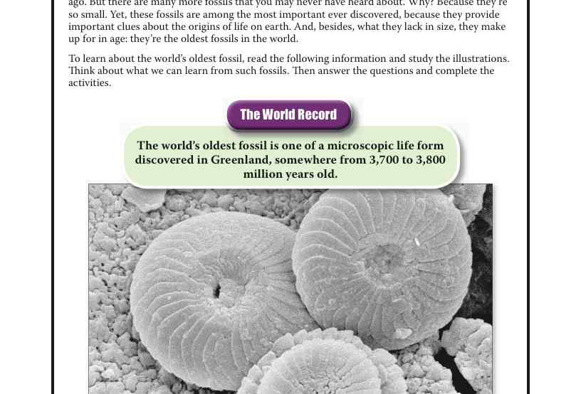 Amazing World Record of Science and Technology: OLDEST FOSSIL ...