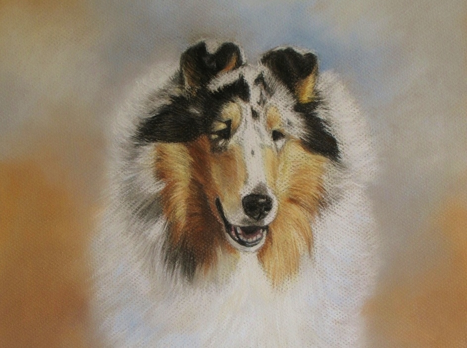 HOME | comeawaycollies