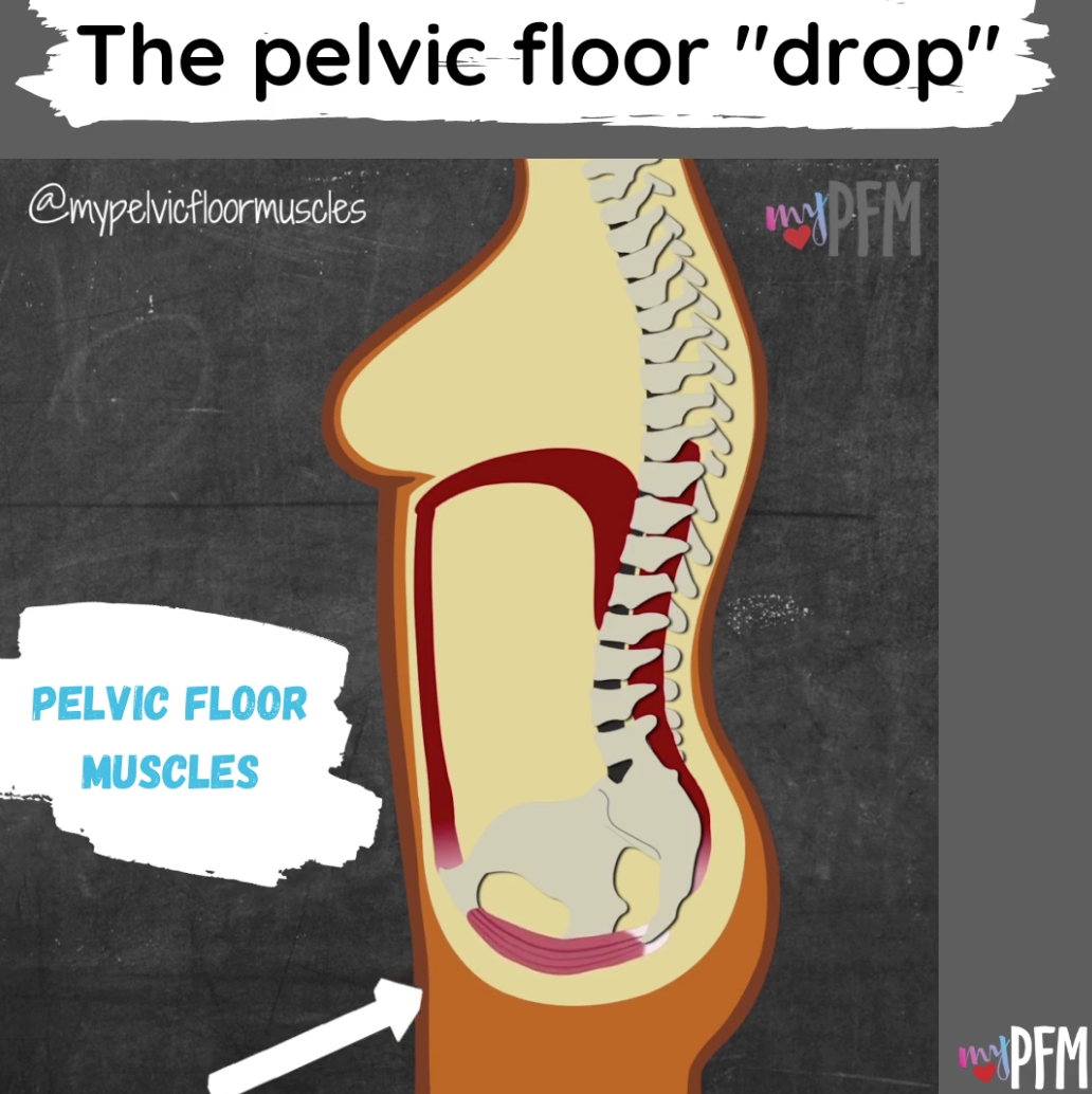 The Pelvic Floor Drop