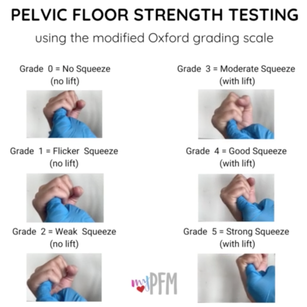 Pelvic Floor Strength Testing