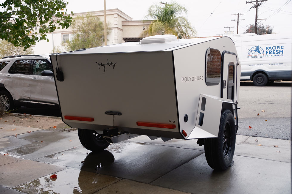 New 2025 P19 Shorty | Polydrops