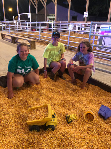 Huron Community Fair | Huron County | Bad Axe