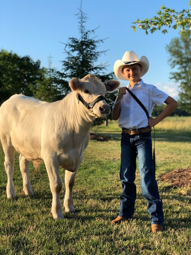 Huron Community Fair | Huron County | Bad Axe