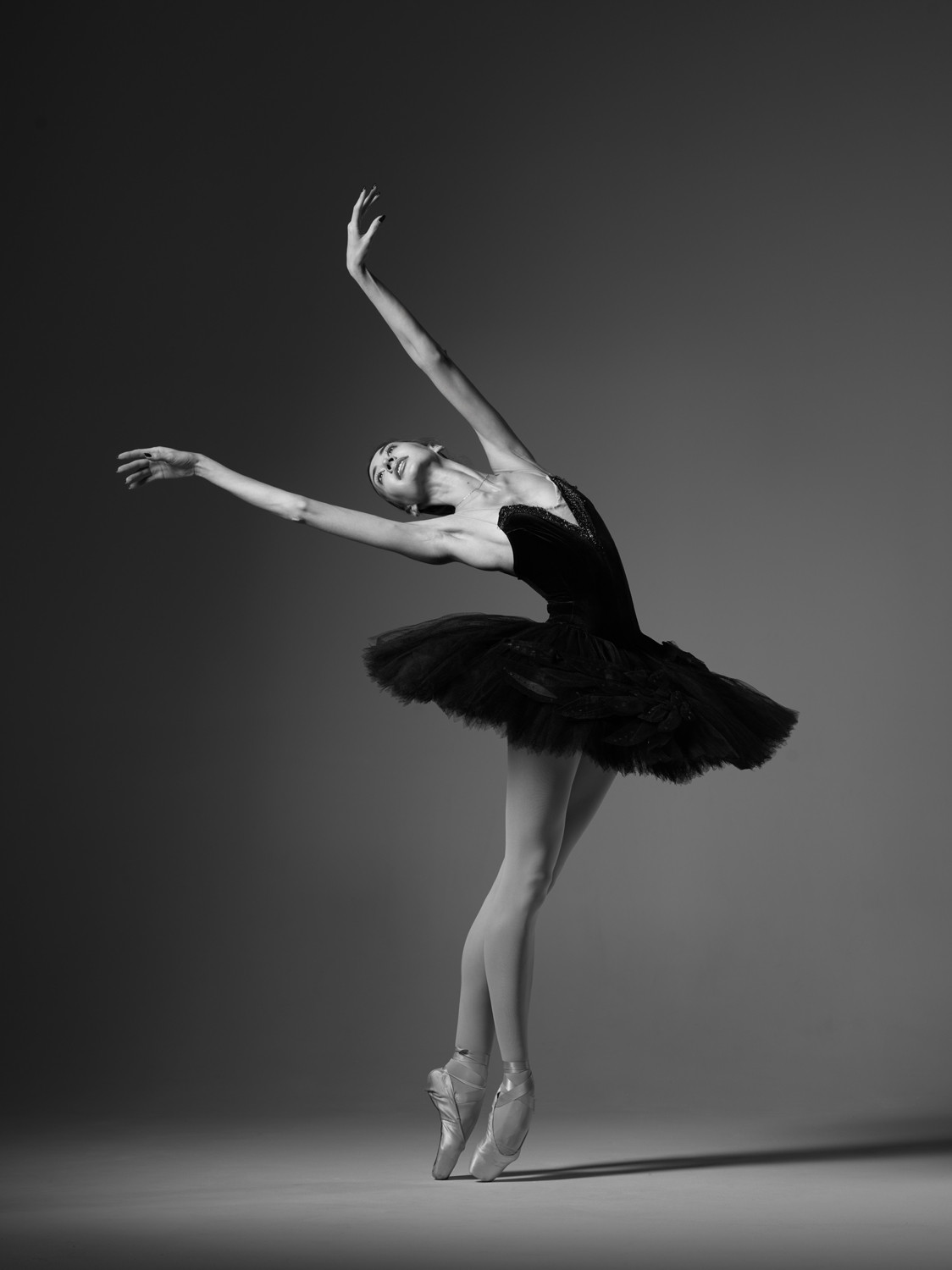 Fullscreen Page | Niv Novak