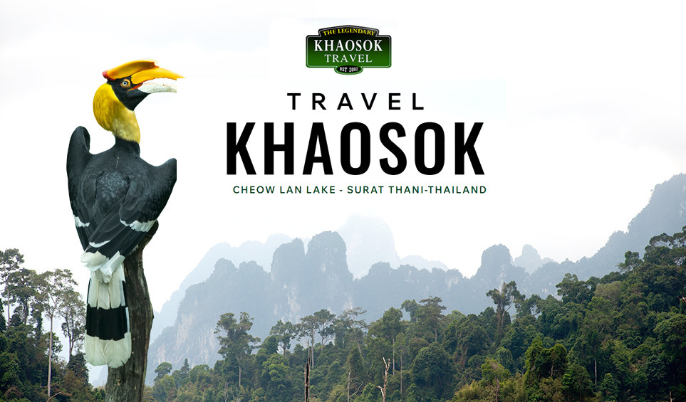 Cheow Lan Lake Pier | Boat Tours, Floating Bungalows & Travel Info at ...