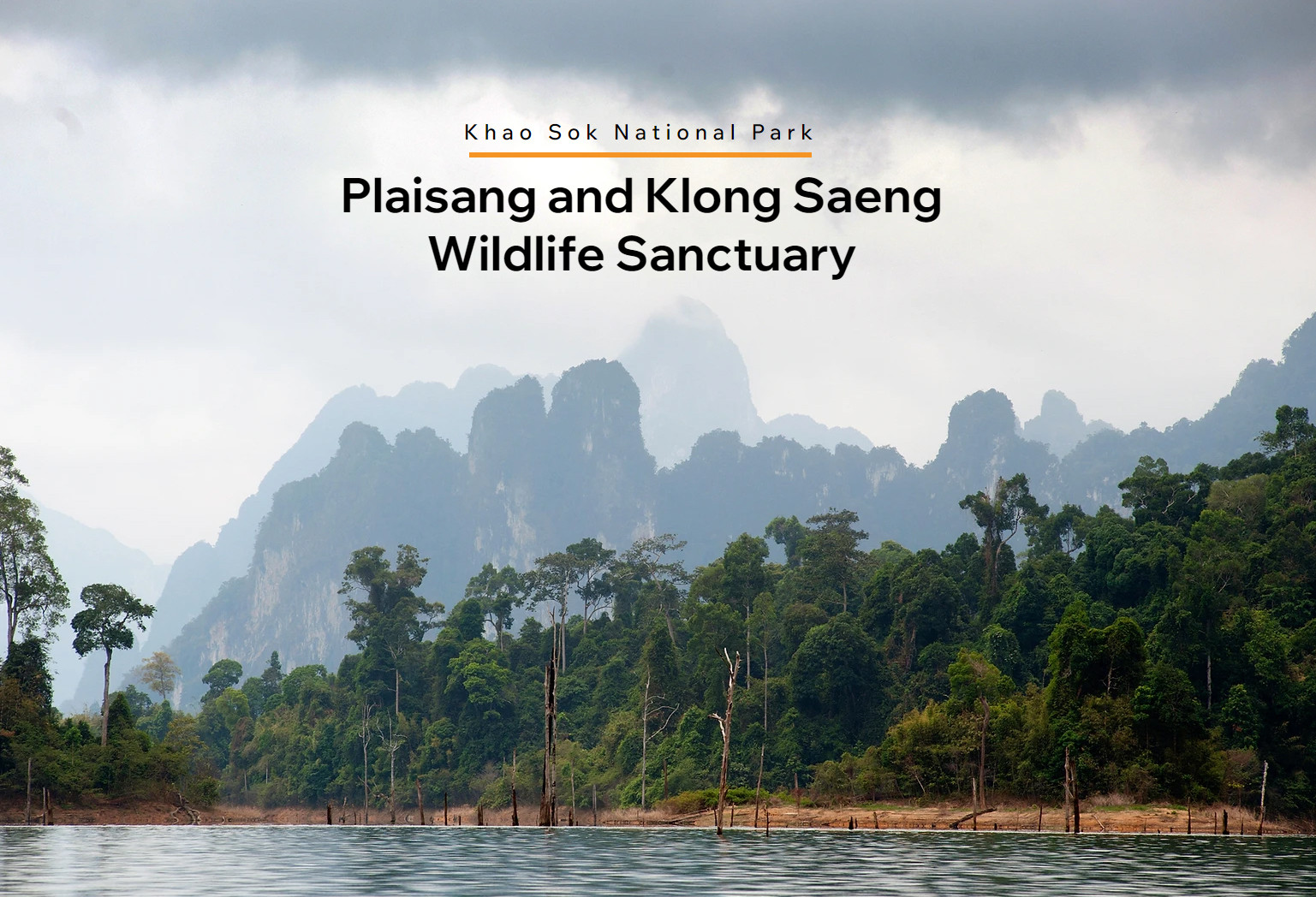 Khlong Saeng Wildlife Sanctuary | Cheow Lan Lake
