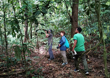 Birdwatching in Thailand Birding Package | Khao Sok Travel