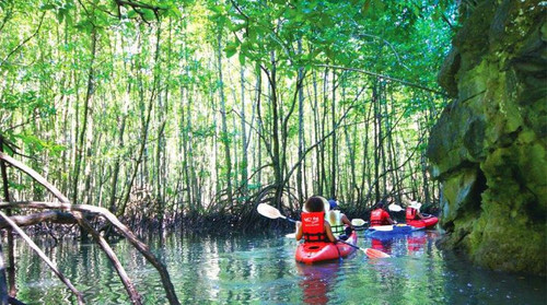 Full Day Kayaking Ao Thalane | Krabi Tourism