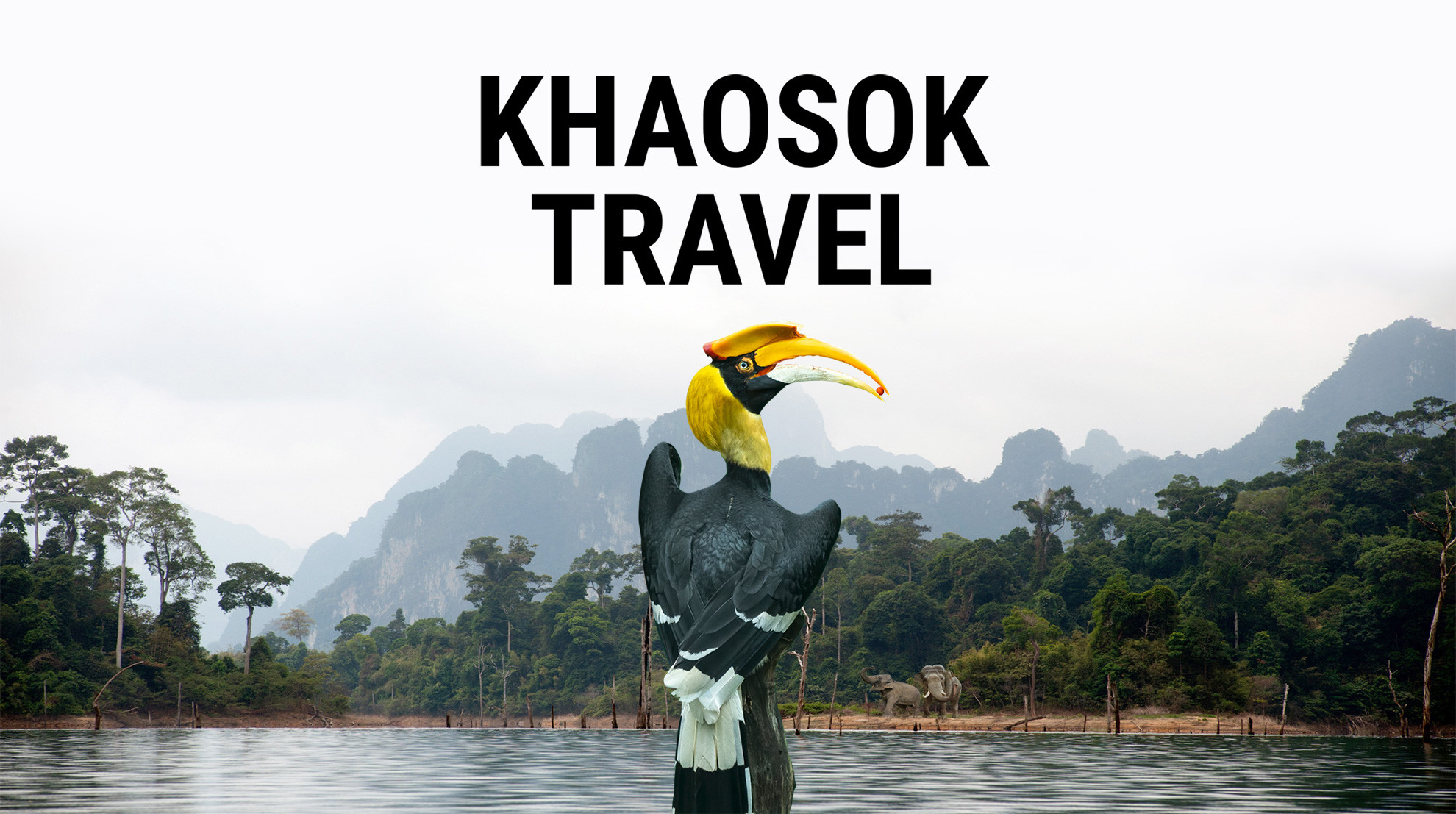 Khao Sok Tours & Cheow Lan Lake Experiences 🇹🇭 | Private Floating ...