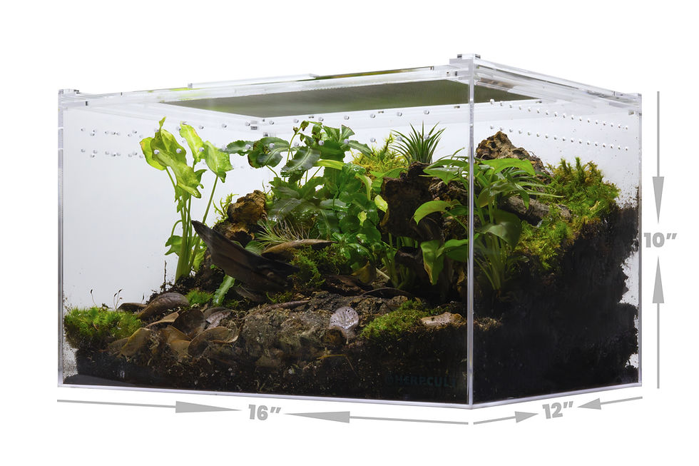 Acrylic Enclosure | HerpCult