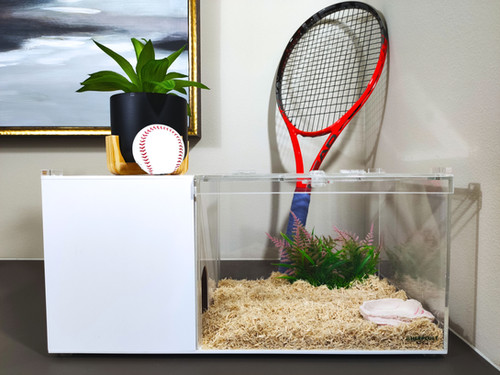 Acrylic House - Small | HerpCult